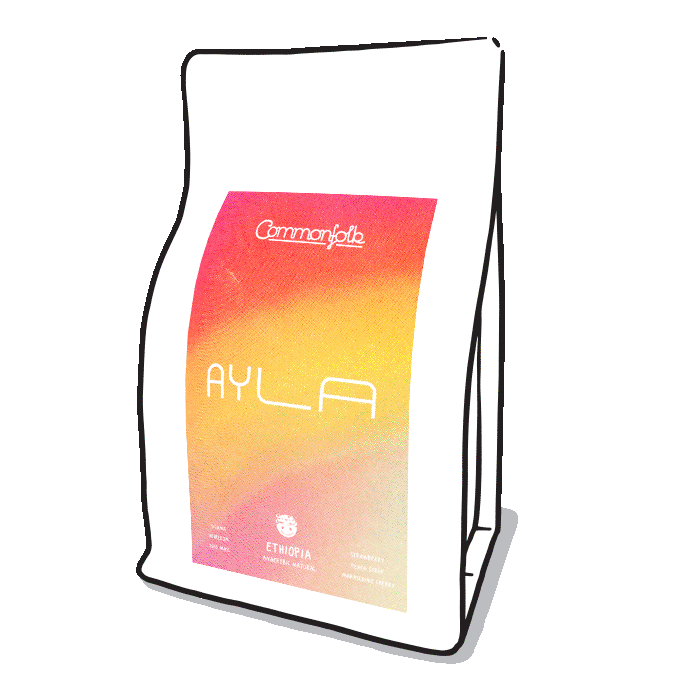 Ayla – Commonfolk Coffee