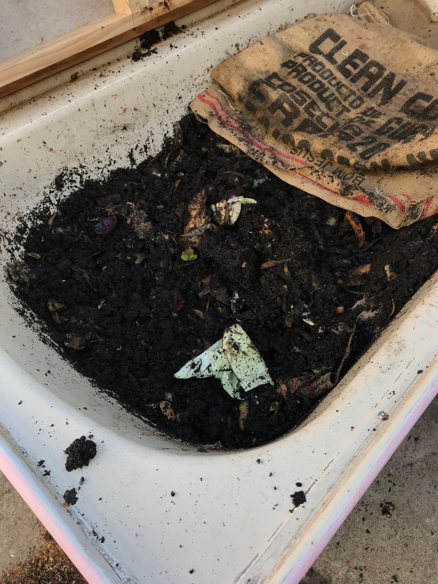 Commonfolk's Got Worms – Commonfolk Coffee